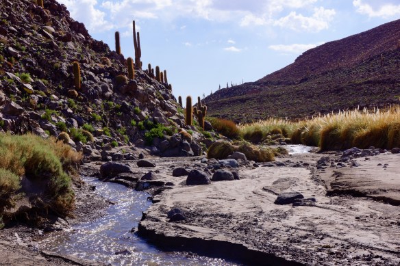 Day 3 – Afternoon hike – Punta del Inca | Dispatches from the Road